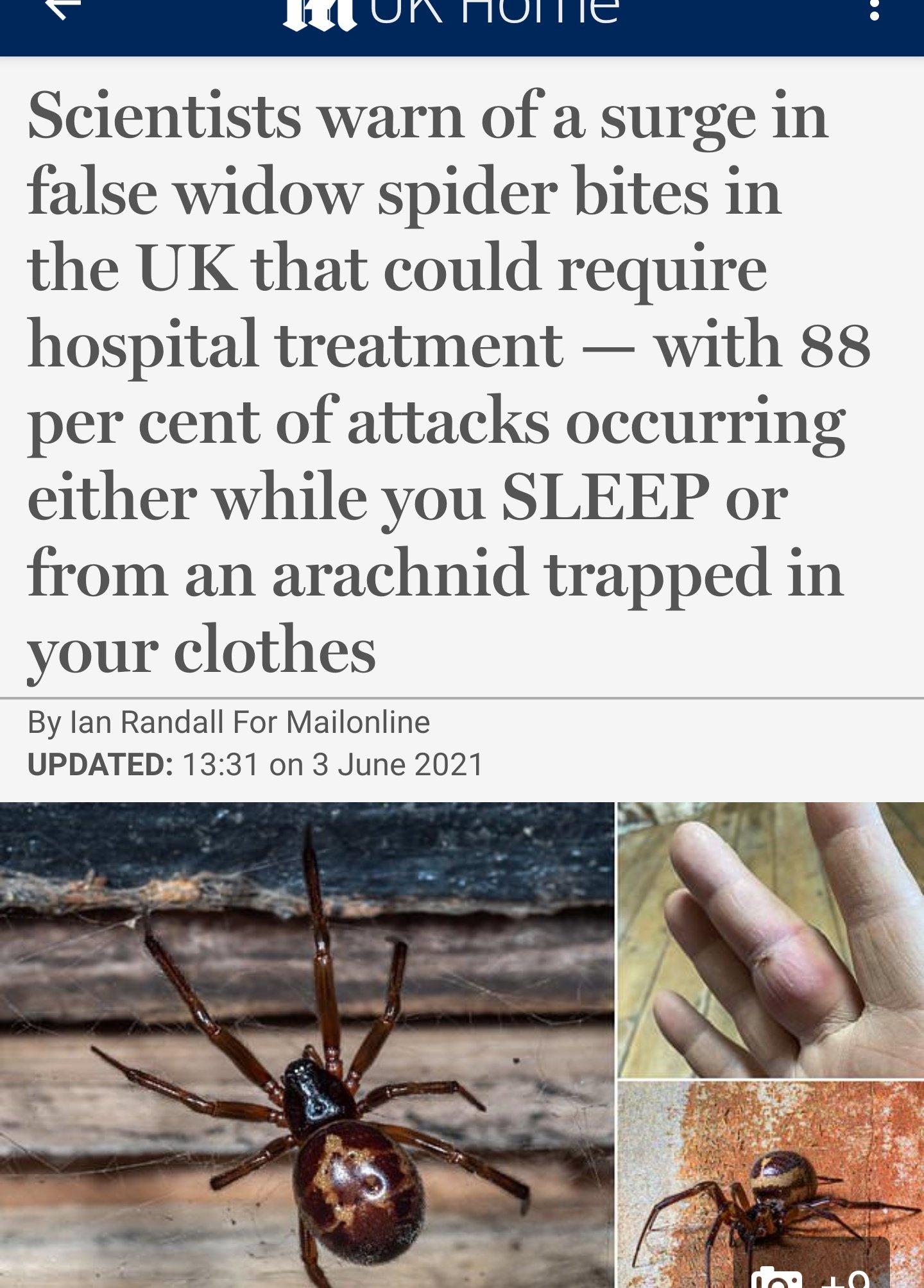 Spider Attacks Memes Marvel Snap Bugle On X: "Clarifications About The