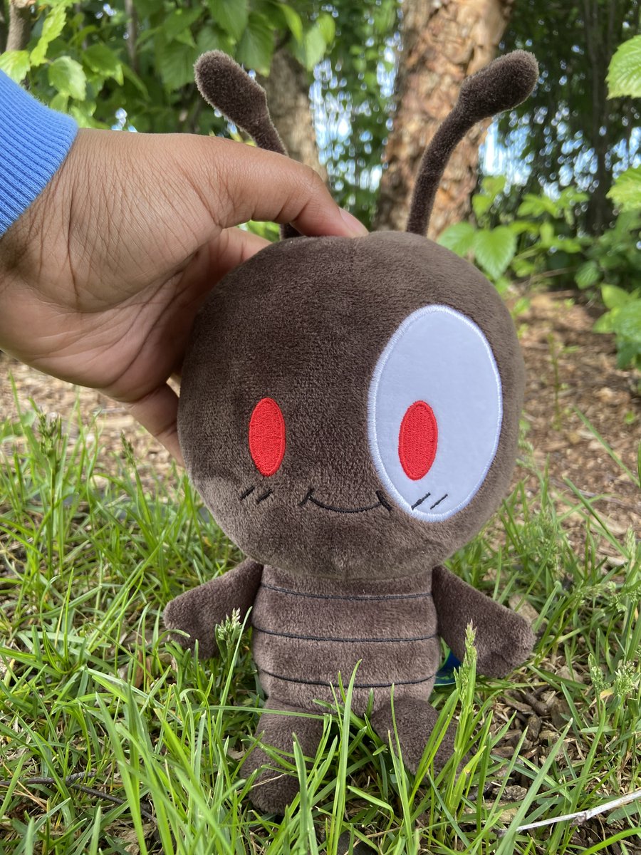 Twoucan - Bug Enthusiast 🪲🌈 (@Idolomantises)