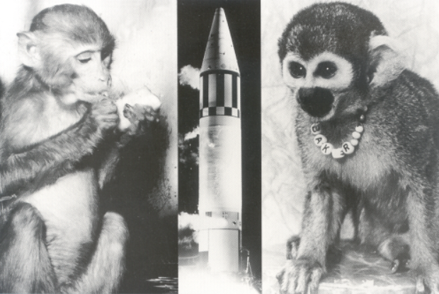 First Space Flight By Monkeys
