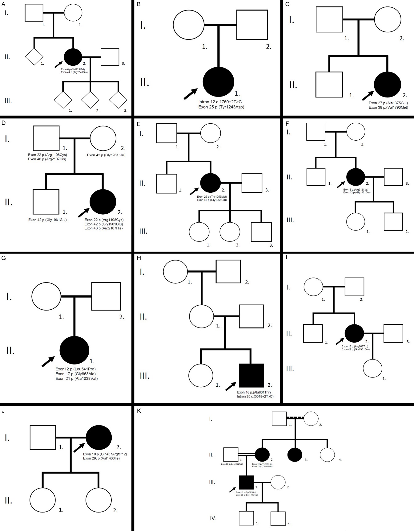 Turner Syndrome Pedigree Chart