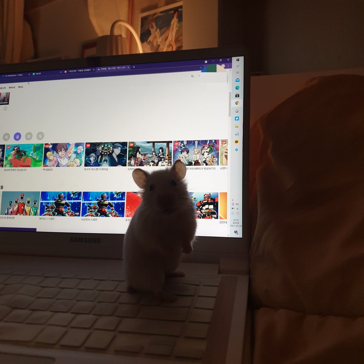 왕자 (@Wang_DAMGOM) | Twitter