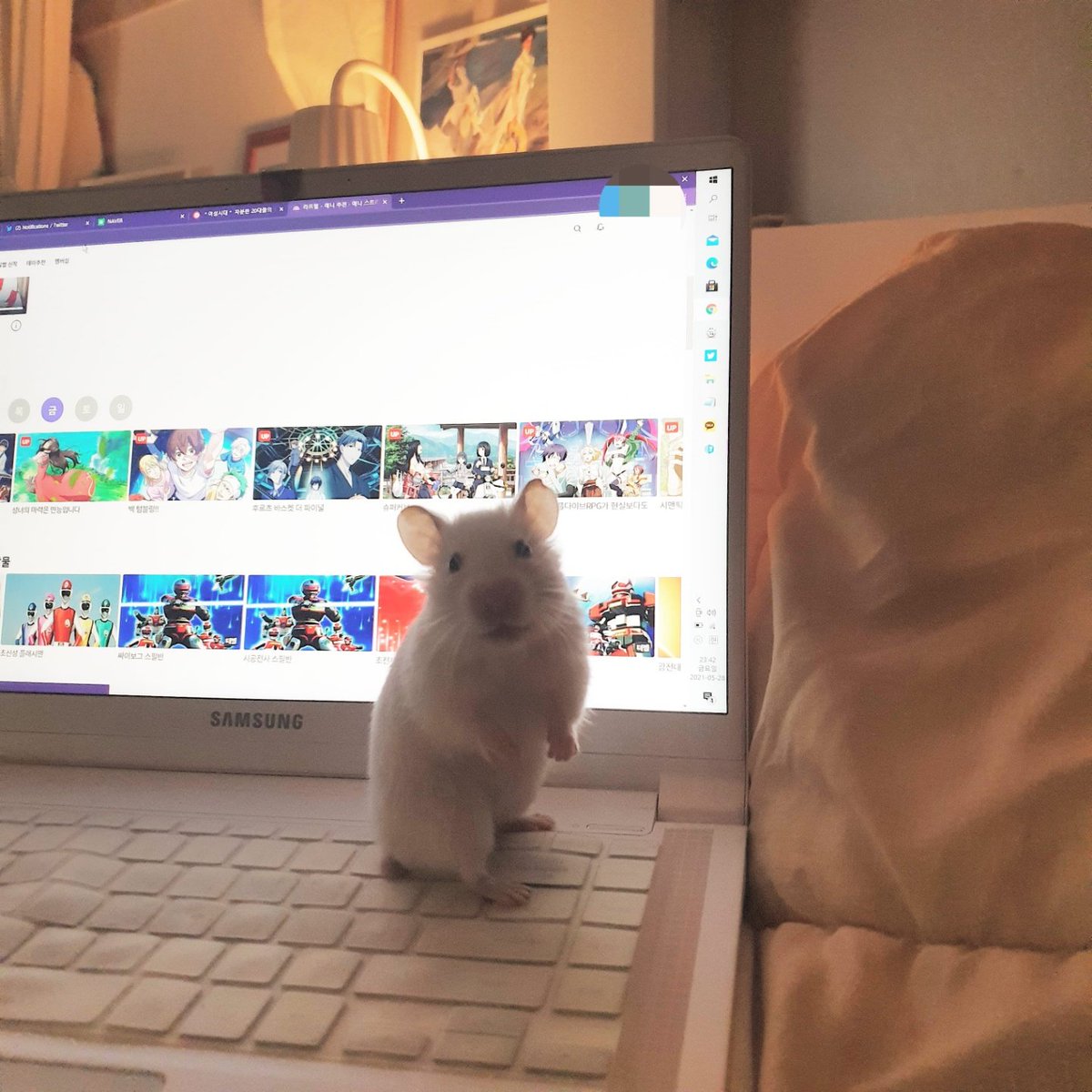 왕자 (@Wang_DAMGOM) | Twitter