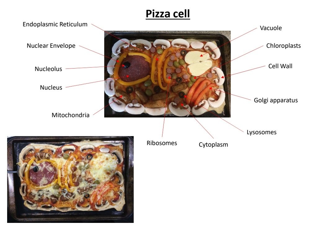 Lawnswood School - Our staff