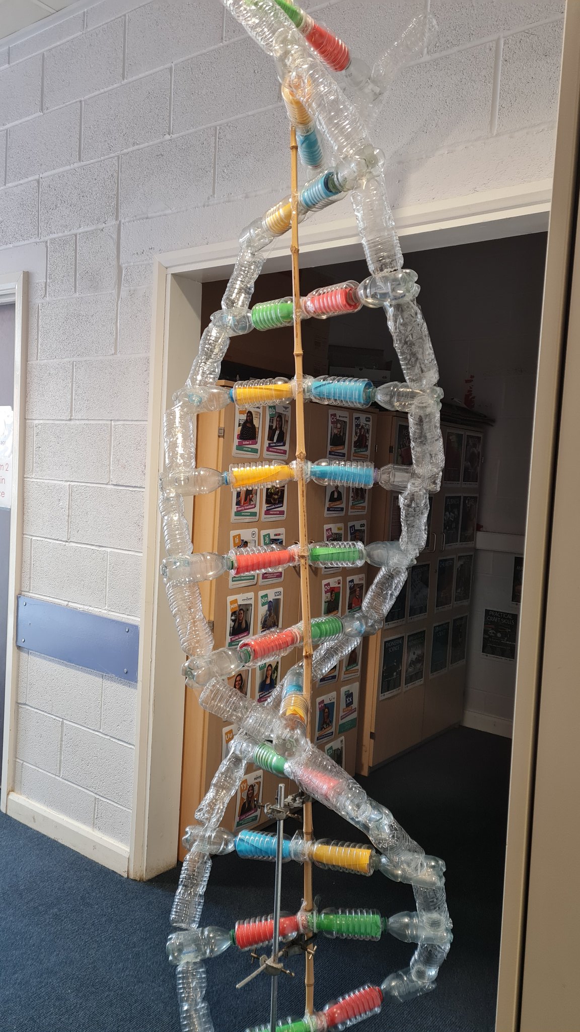 How To Make 3d Dna Models For Project