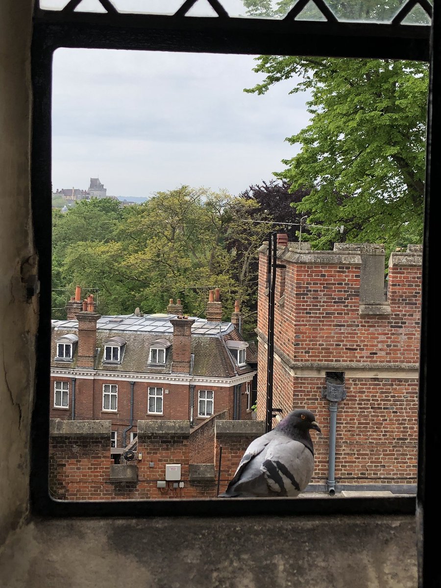 College Library | Eton College Collections