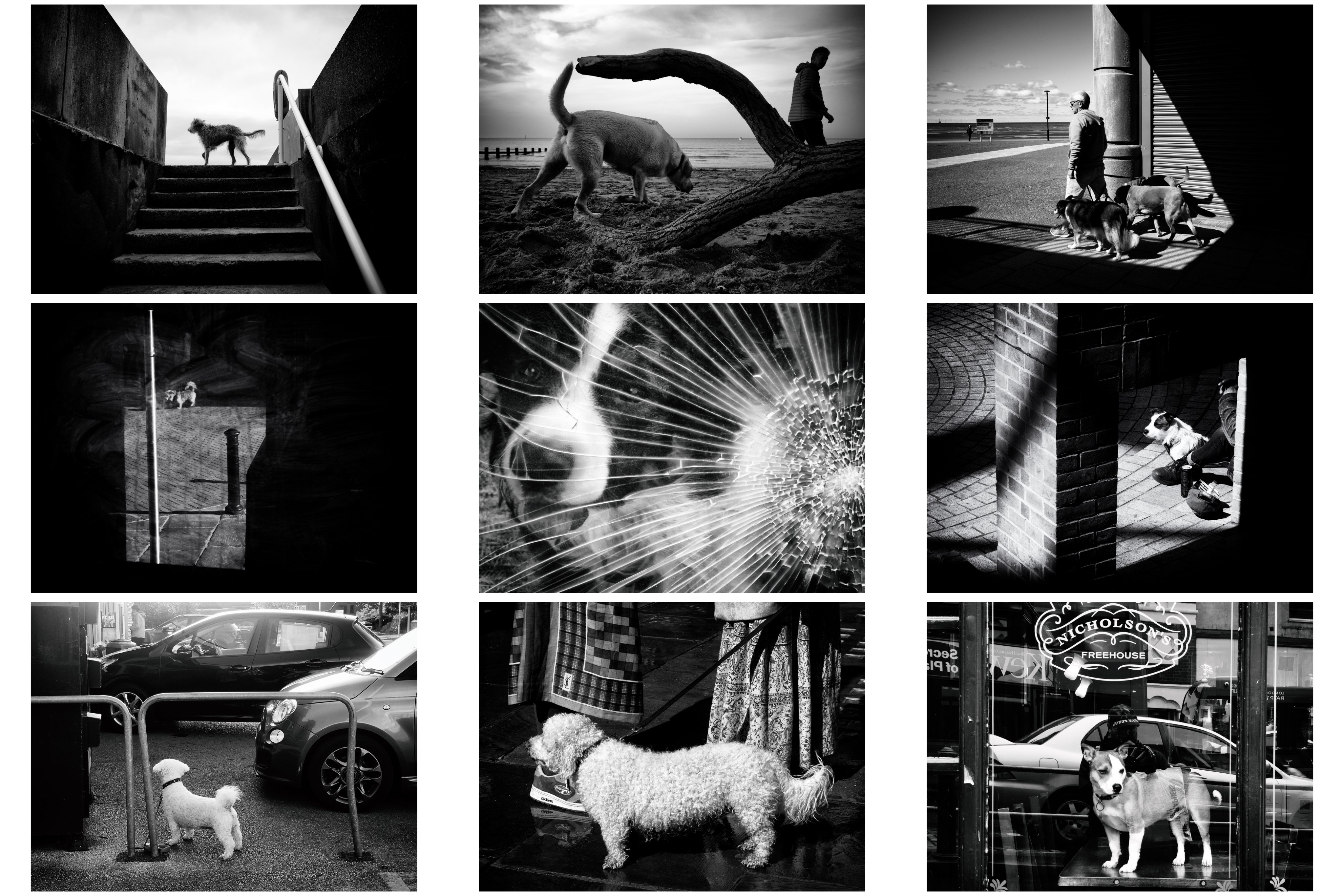 Narrative Photography Series