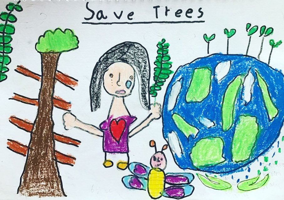 Drawing For Kids On Save Trees