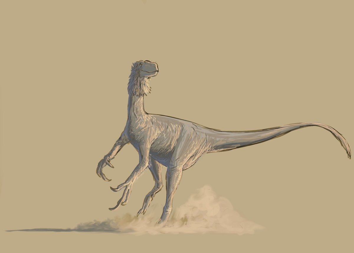 Twoucan - Joschua Knüppe (@JoschuaKnuppe)