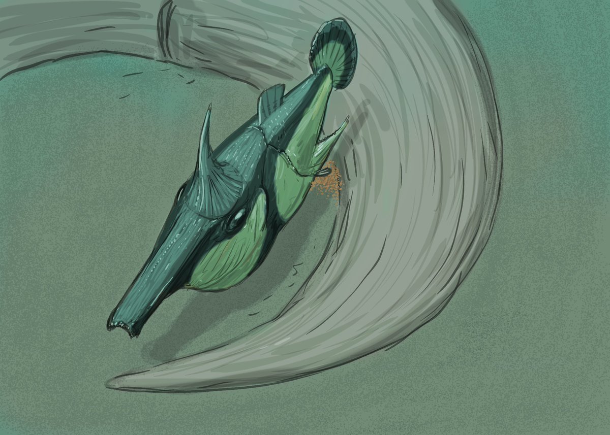 Twoucan - Joschua Knüppe (@JoschuaKnuppe)