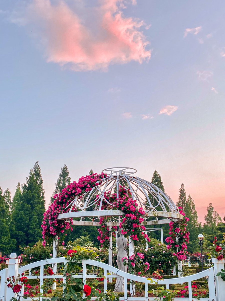 봄과 여름 사이 텀블벅🍓𝓒𝓱𝓪𝓮𝓻𝓲 쳐리 @chaeeeri