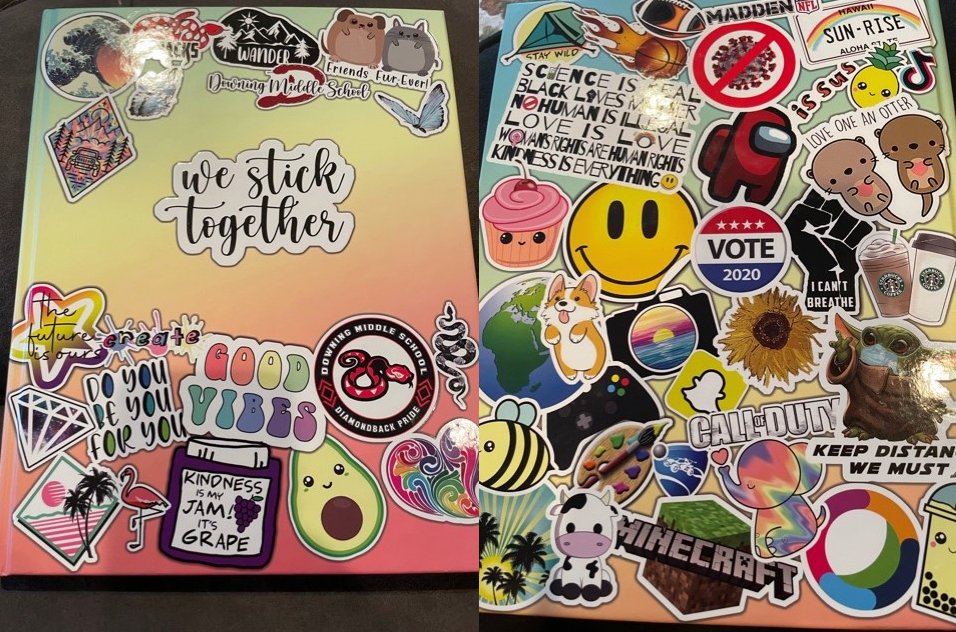 Tumblr Laptop Stickers