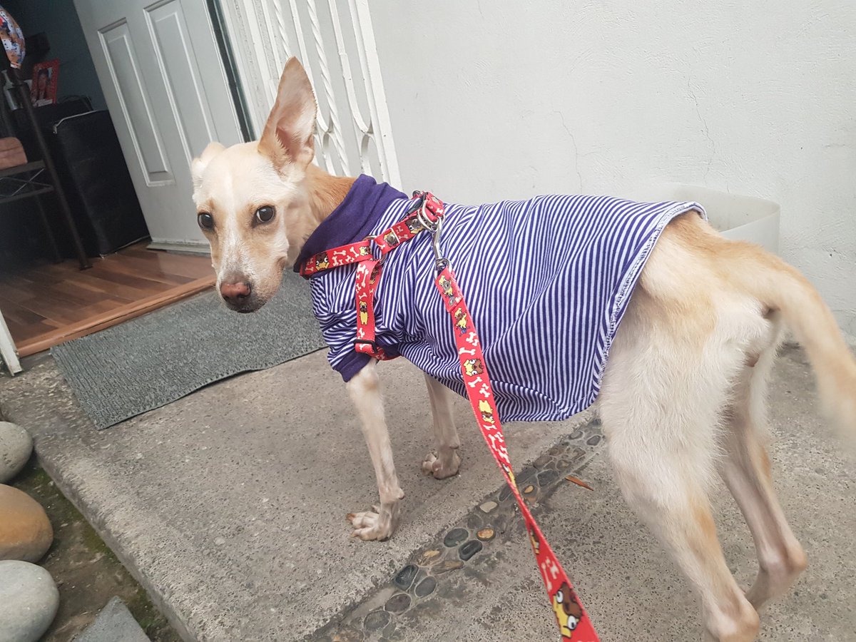 Fixlab Tech Solution (@TechFixlab) | Twitter