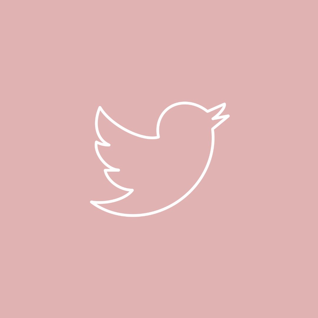 Pink Twitter Icon