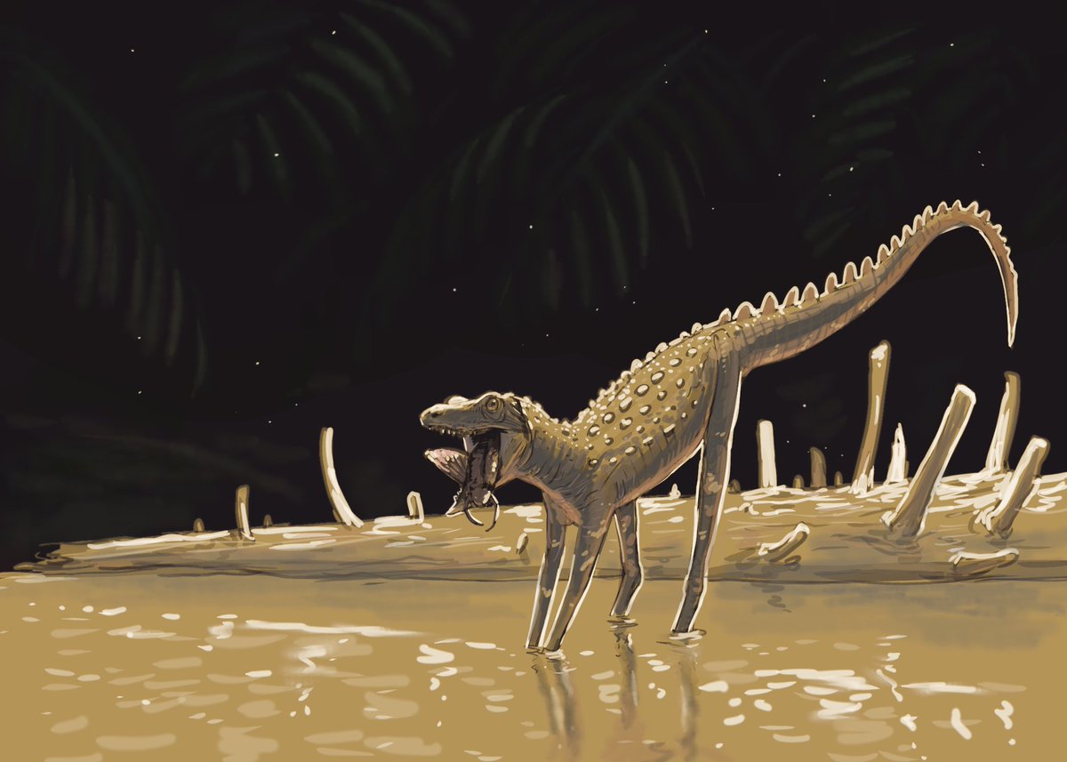 Twoucan - Joschua Knüppe (@JoschuaKnuppe)