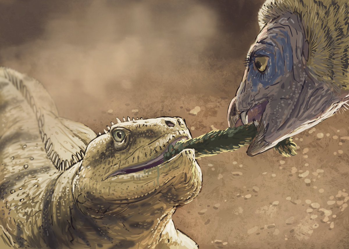 Twoucan - Joschua Knüppe (@JoschuaKnuppe)