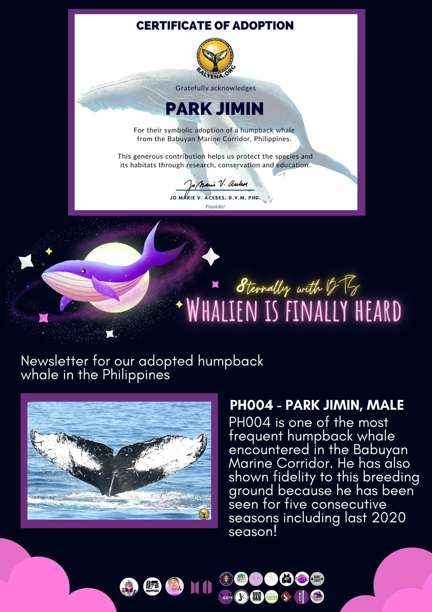 ARMY Cavite Fanbase⁷ 👩‍🚀💜🇵🇭 (slow) on Twitter: "𝐌𝐀𝐊𝐍𝐀𝐄 𝐋𝐈𝐍𝐄 𝐖𝐇𝐀𝐋𝐄𝐒 🐳🐋 Each whale and adoption ...