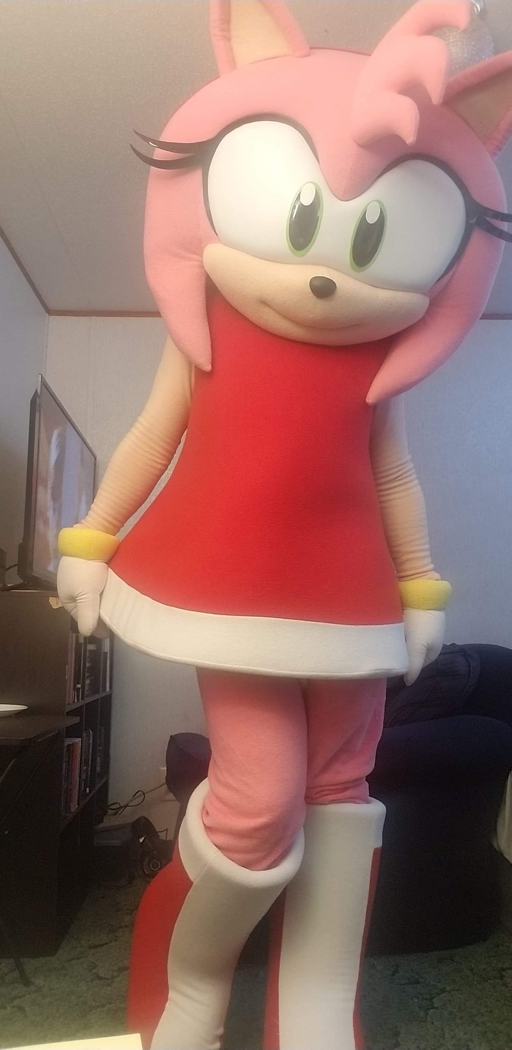 Amy Rose Costume Tf Tg Part 2 By Zohaku1 Fur Affinity