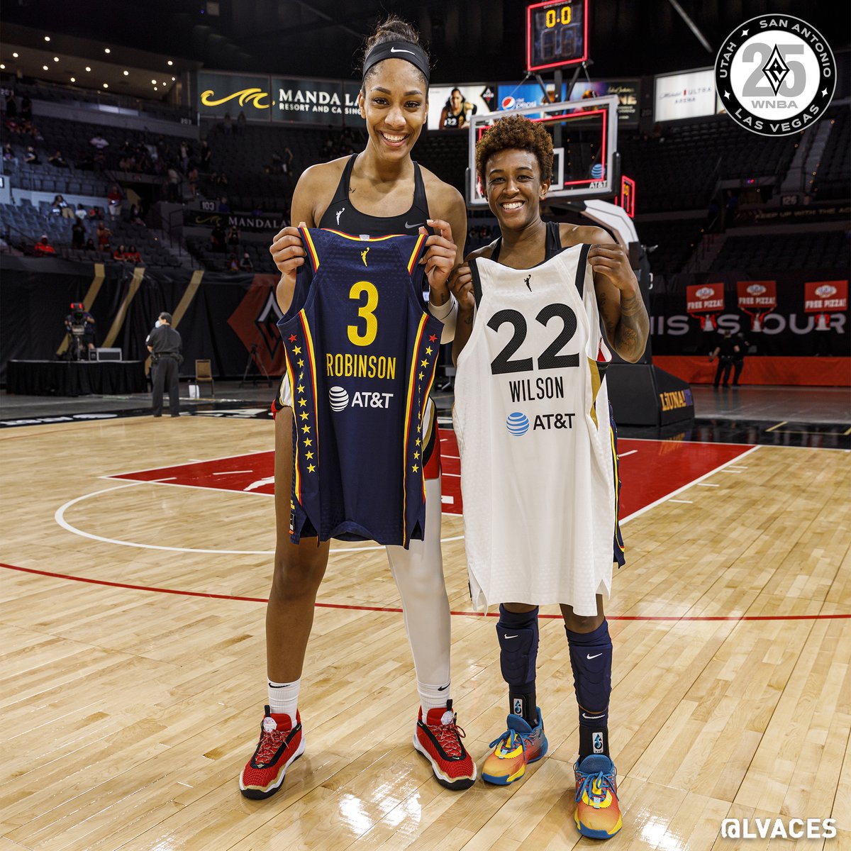 Danielle Robinson Wnba