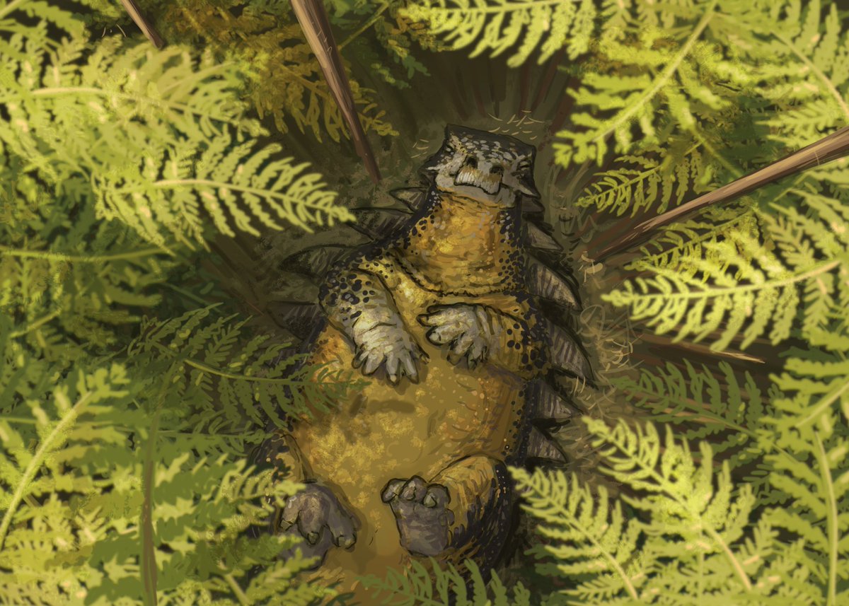 Twoucan - Joschua Knüppe (@JoschuaKnuppe)