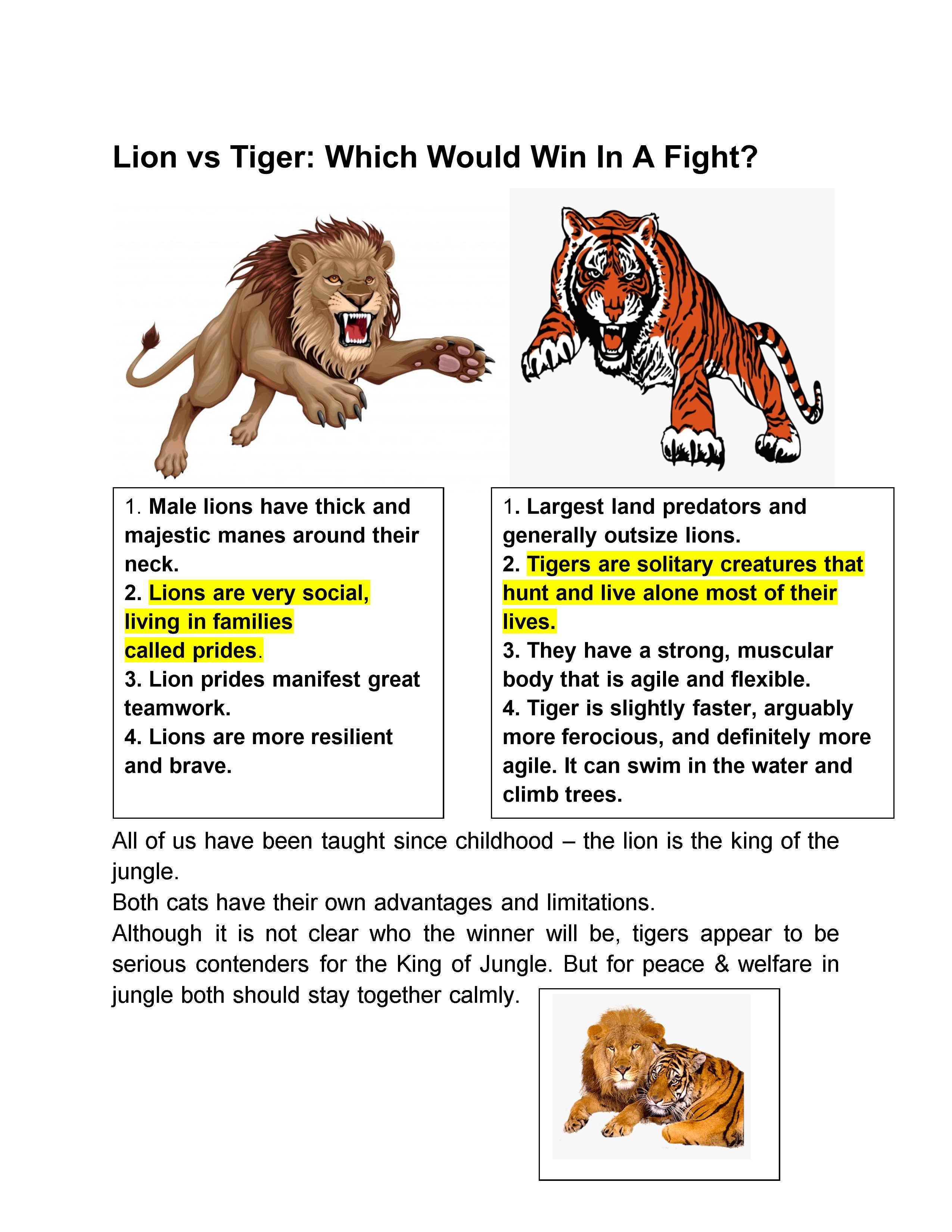 Lion And Tiger Fight Who Wins