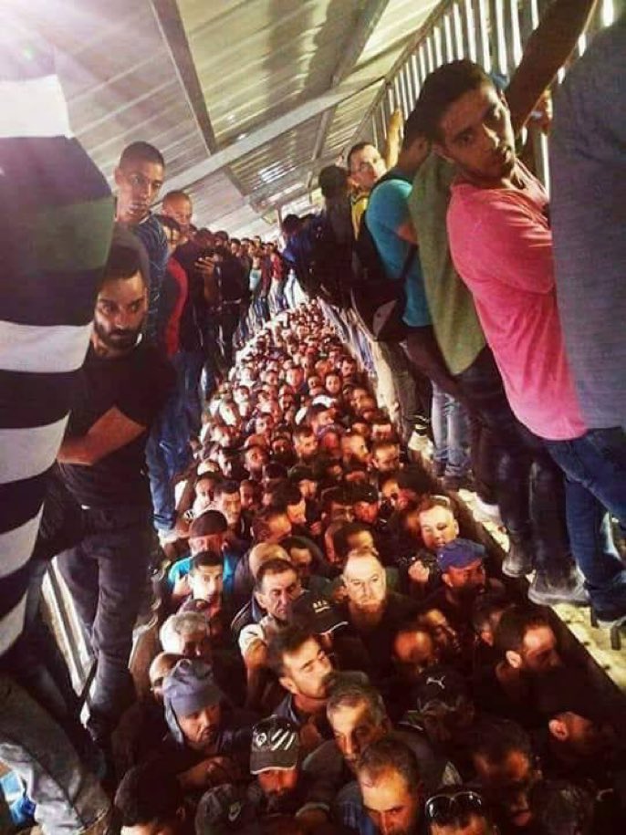 Hala Sabbah (@halasabbah_) | Twitter