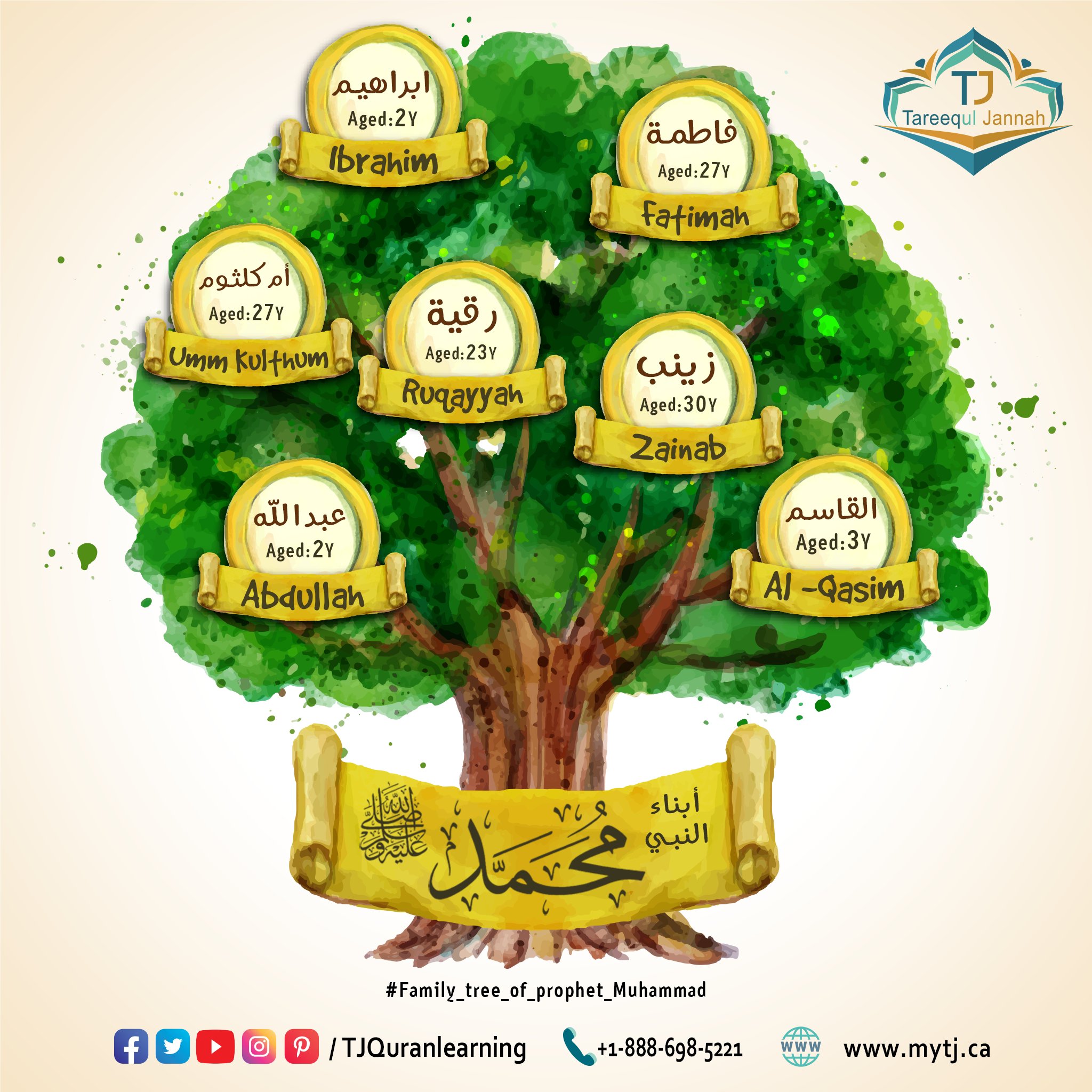 Family Tree Of Prophet Muhammad Outlet Here | micoope.com.gt Family Tree Of Prophet Muhammad Outlet Here | micoope.com.gt