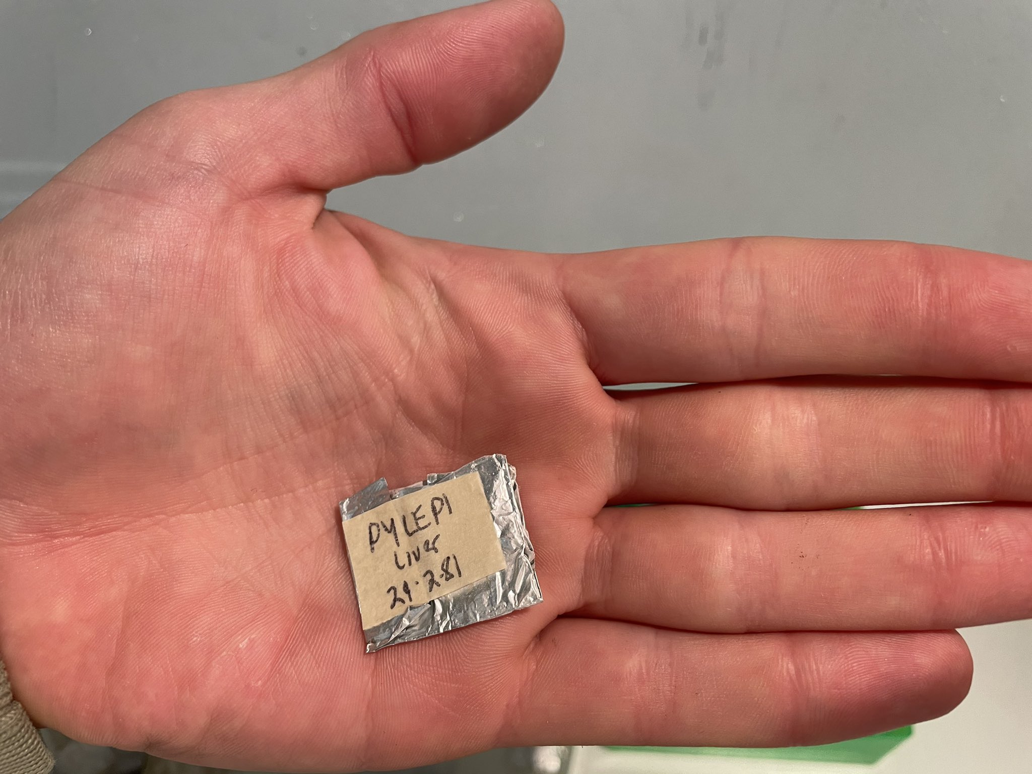 Donkey Kong Lsd Tabs Impaired Endogenous Neurosteroid Signaling