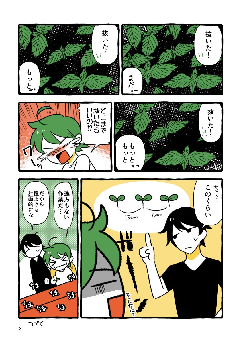 「歳の離れた兄弟が家庭菜園する話① シソの種まき 」ナガラヨリ🍅関コミ【L-02】/COMITIA152【て04b】の漫画