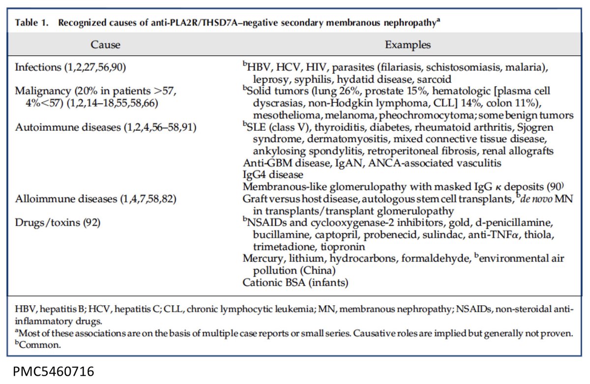 Hello #MedTwitter #nephtwitter We recently had an interesting case ...