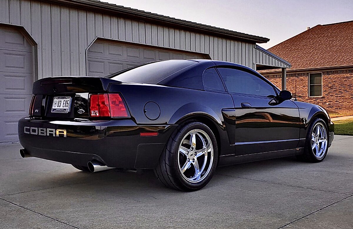 Mustang Svt Cobra Black
