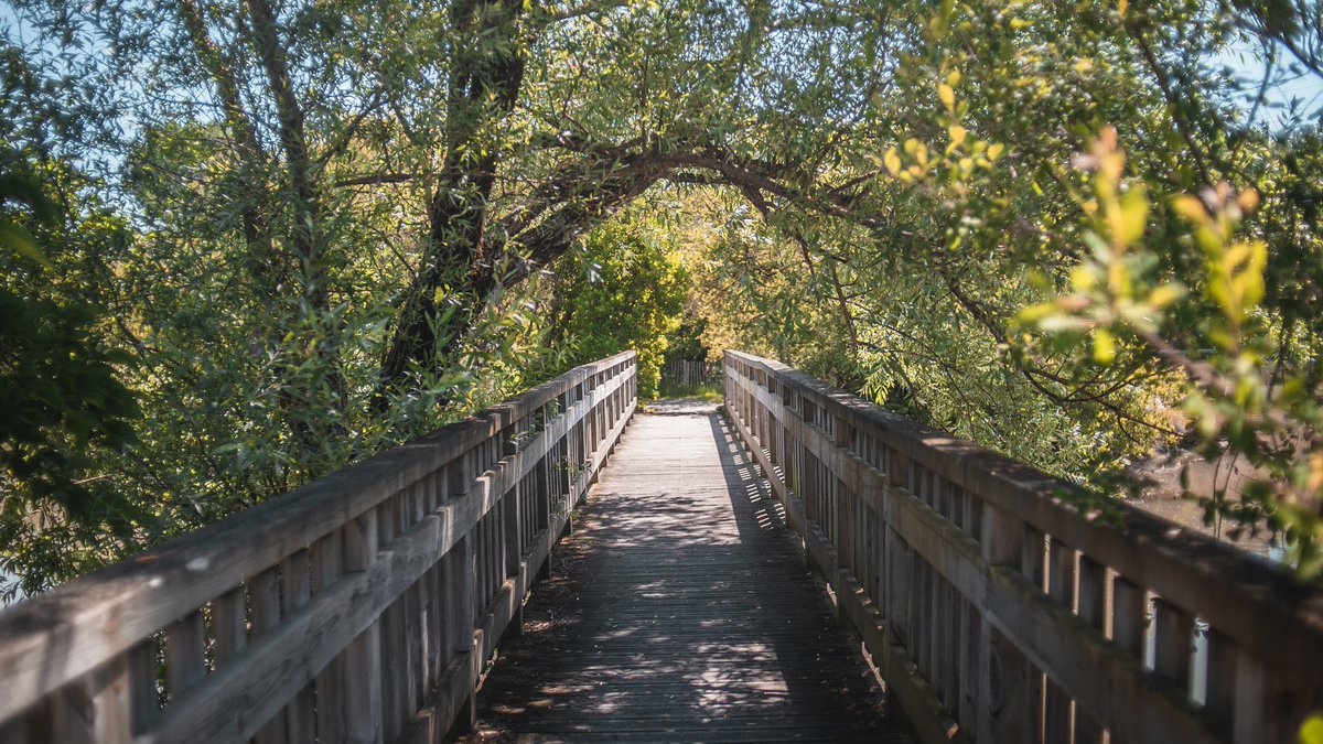 Accueil - Ville de Pessac