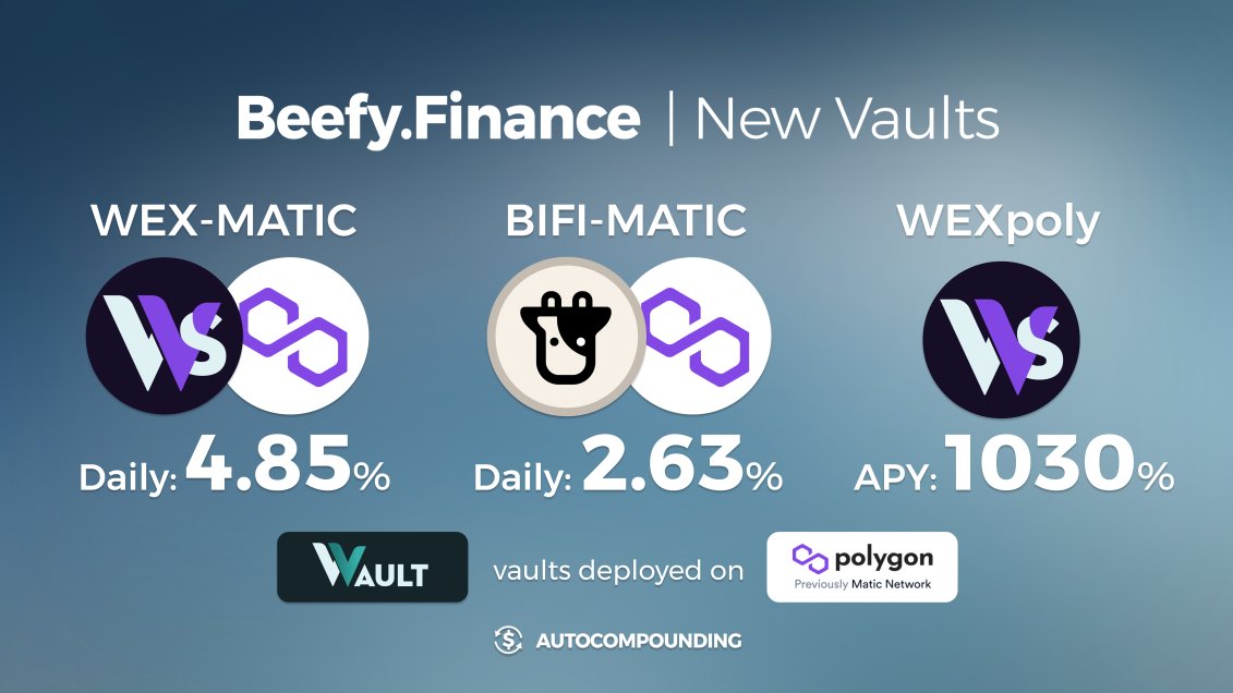 Beefy on Twitter: "Wault Finance Vault releases continue on the Beefy @0xPolygon Network. 🐮 ...