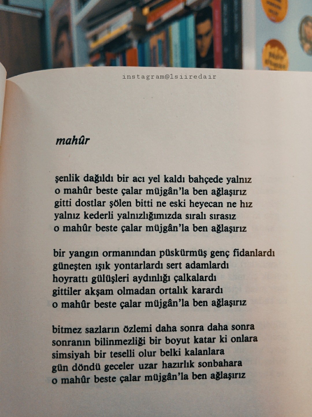 Özel kişi koca handikap a mahur beste çalar gerçekleştirmek tema hız