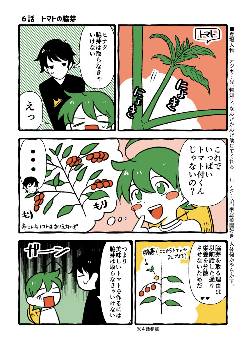 「歳の離れた兄弟が家庭菜園する話⑤ でかいオクラ 」ナガラヨリ🍅関コミ【L-02】/COMITIA152【て04b】の漫画