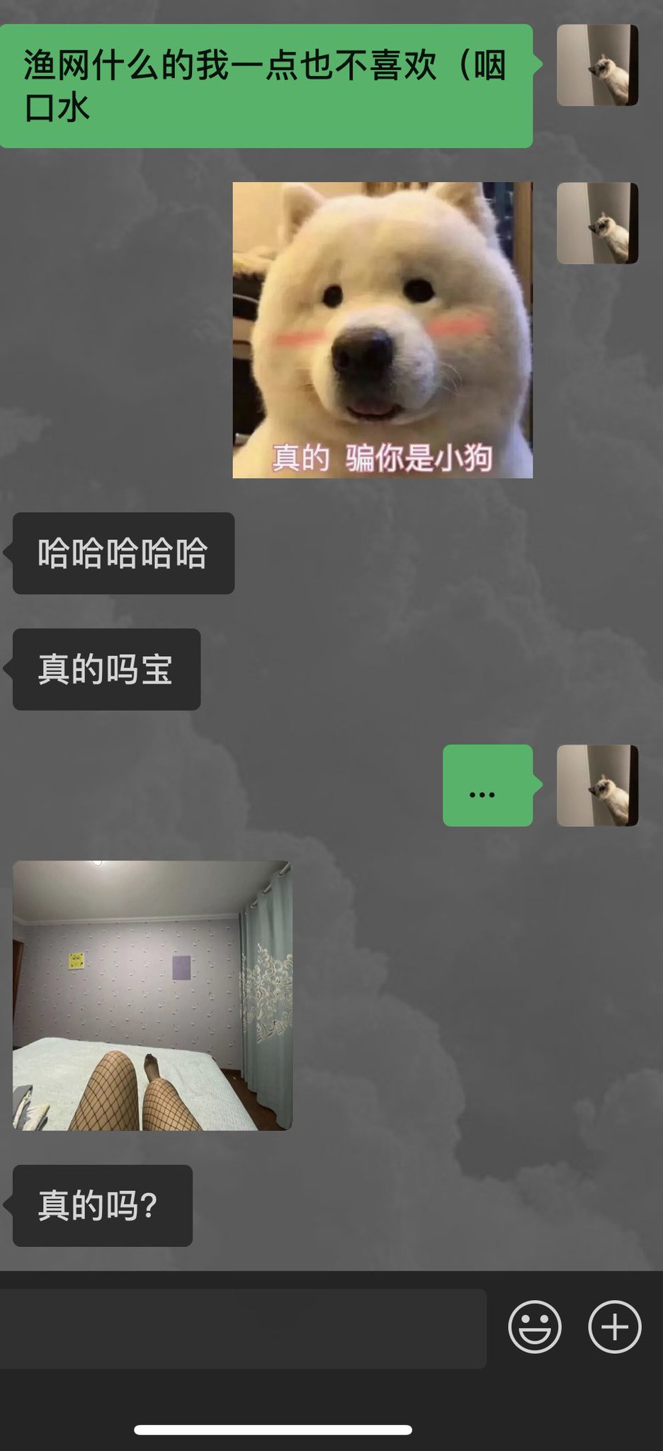 可达鸭的炮炮日记 On Twitter 黑丝白丝都不如我们口水拉丝 长春 吉林 沈阳 东北 约炮 约炮日记 母狗 长春约炮 反差 反差投稿 大学生 母狗调校 学生