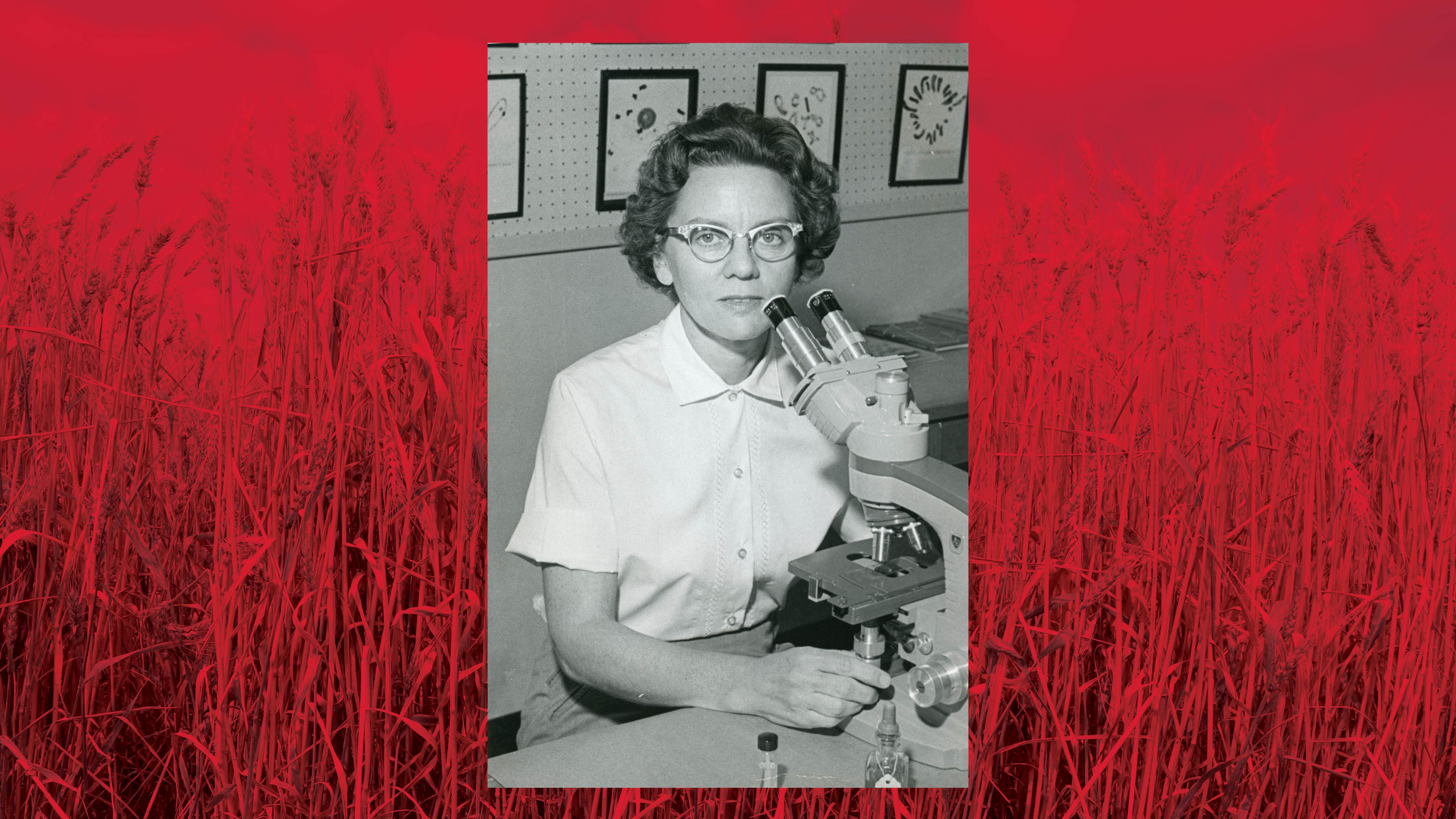 Kathy In Nebraska Nebraskakathy Twitter