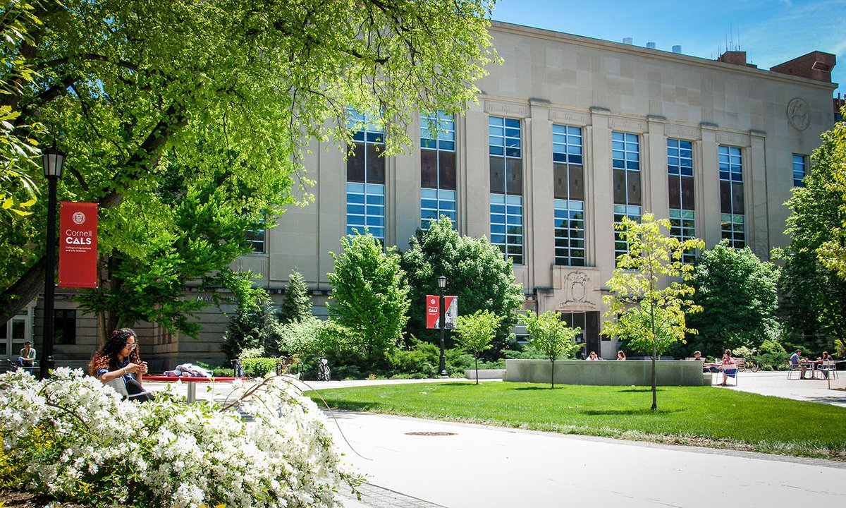 Mann Library Cornell