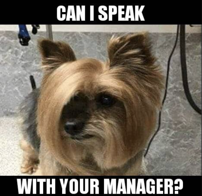 Fish Haircut Memes 65 Funny Monday Memes To Start Your Week Off