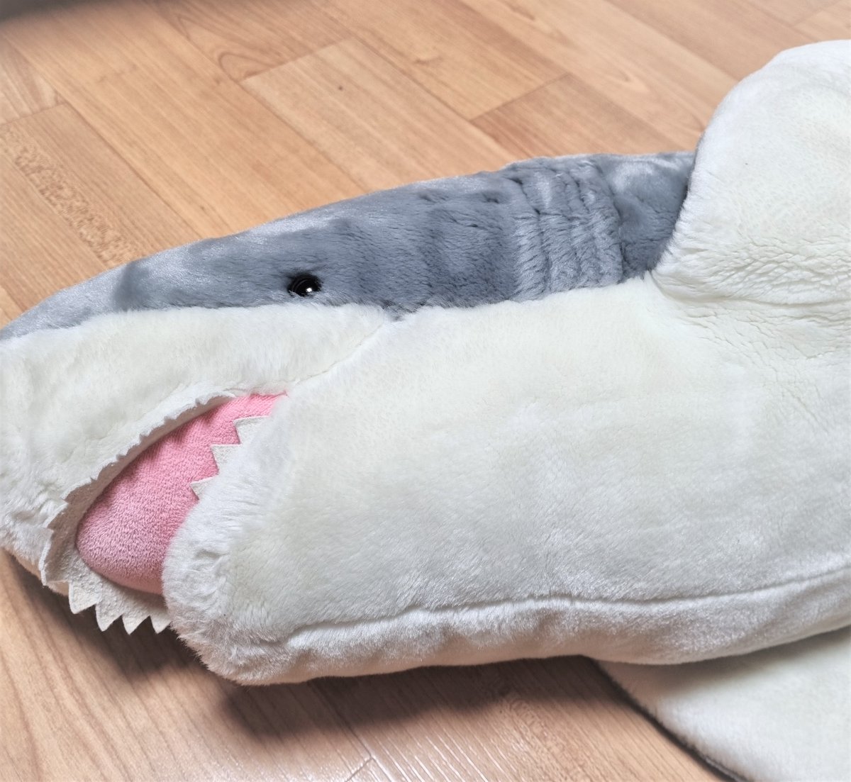 pau ☆ (@channsroom) | Twitter