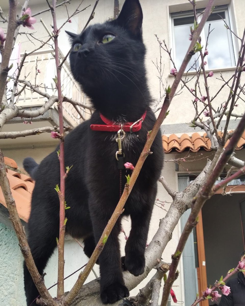 Giovanna lanzafame (@Giovannalanzaf6) | Twitter