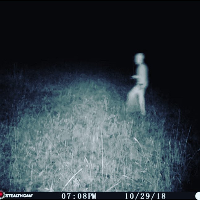 5th Dimensional Beings