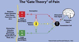 Gate Control Theory