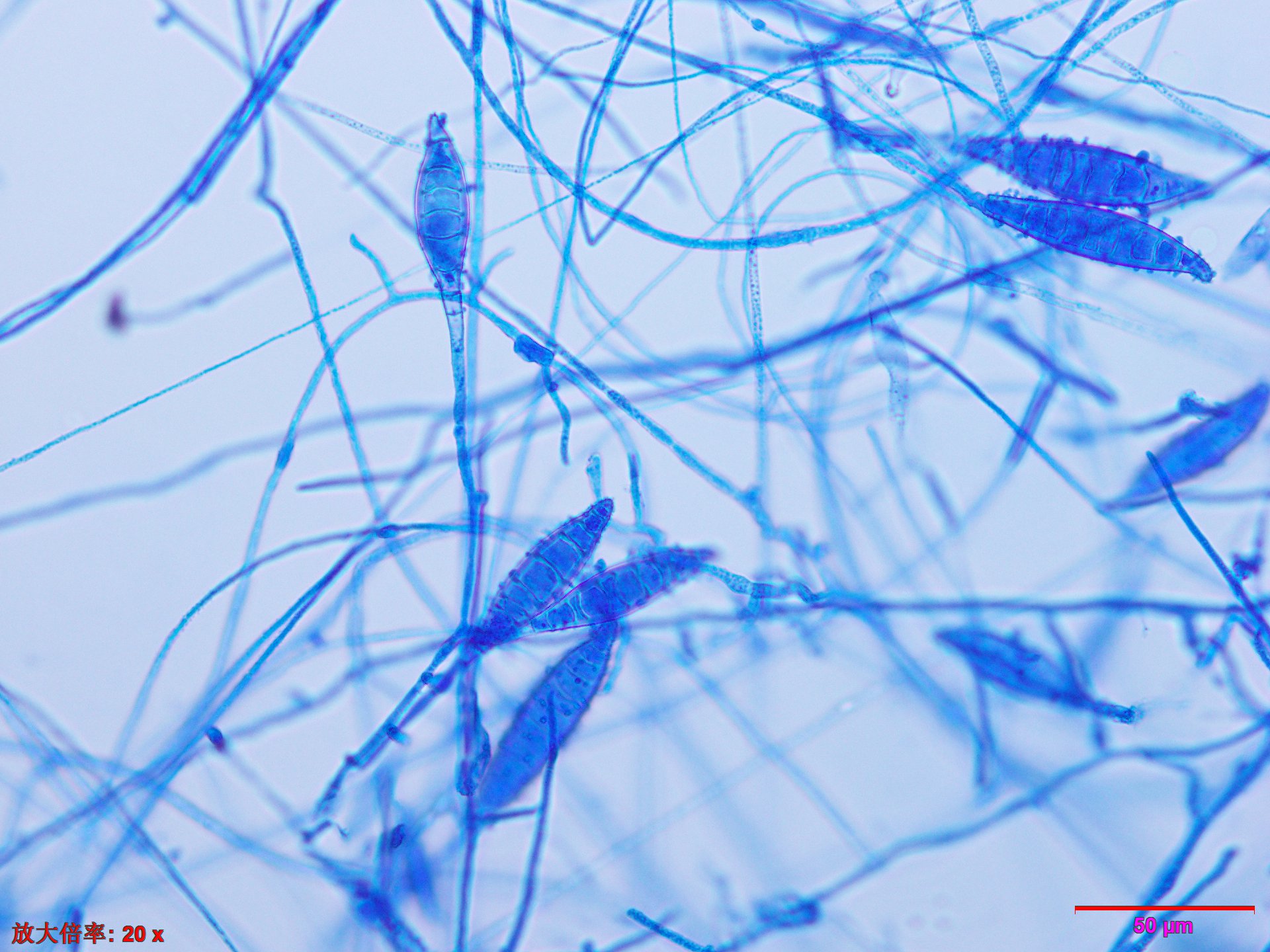 Kyaw Wynn Htun (@Kyaw_W_Htun) / Twitter