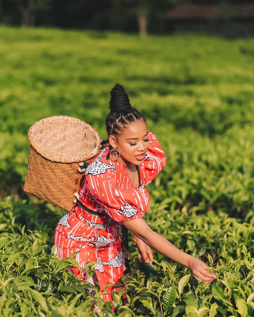 Nhlanhla Ndlovu (@Nhlanhla_SA1) | Twitter