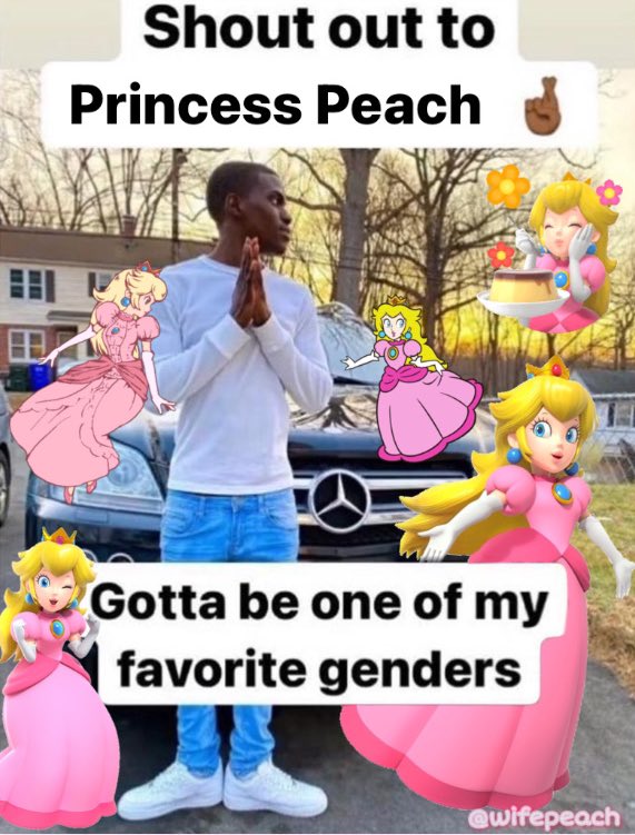 Princess Peach Memes