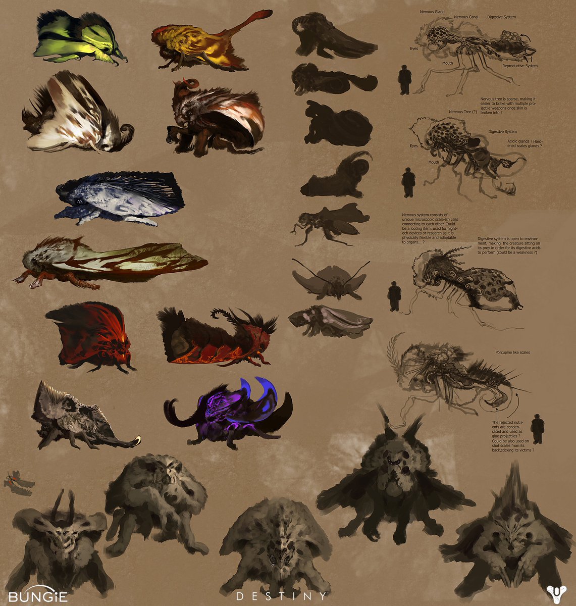 Destiny Enemy Races