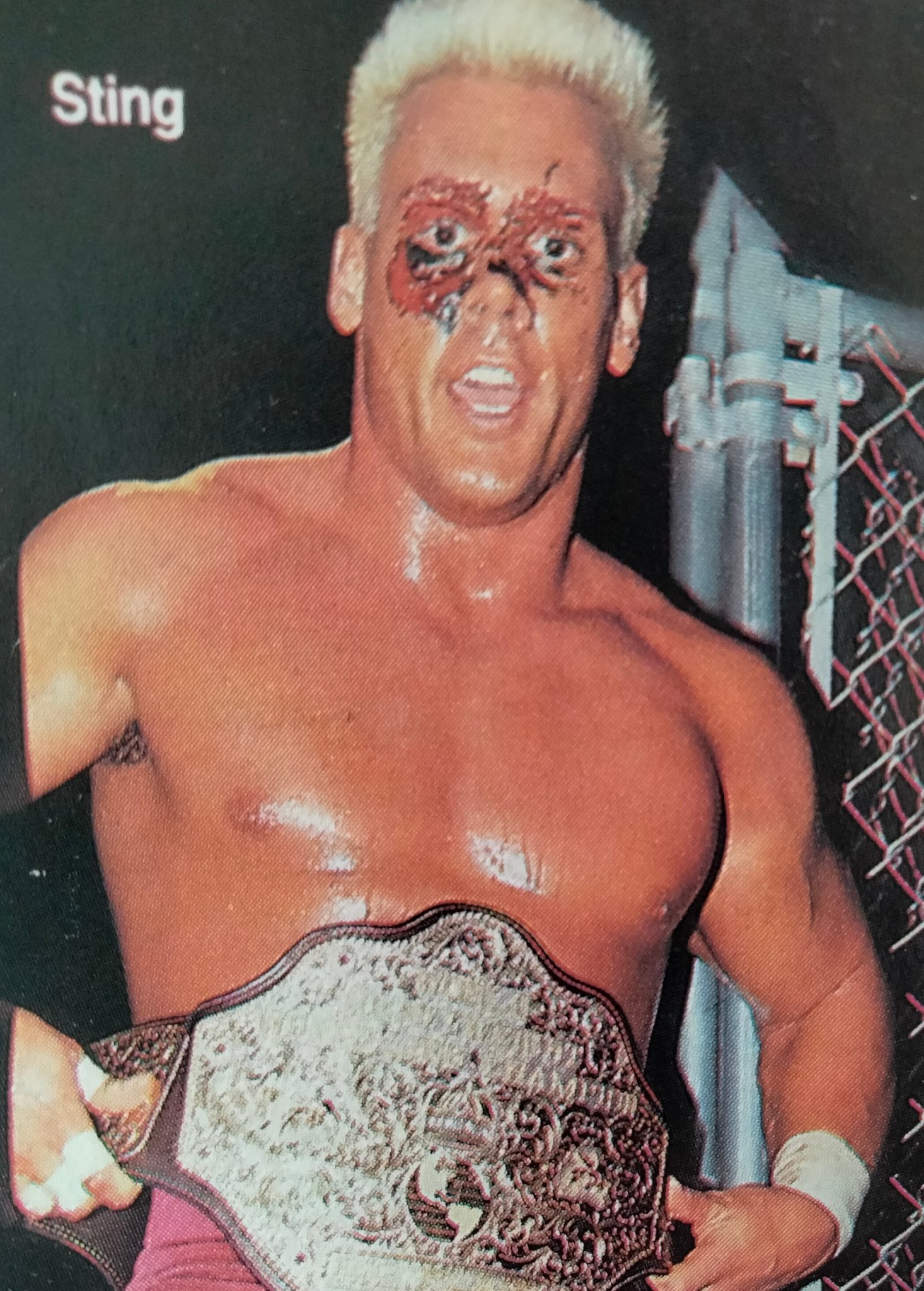 Sting Wcw 1990