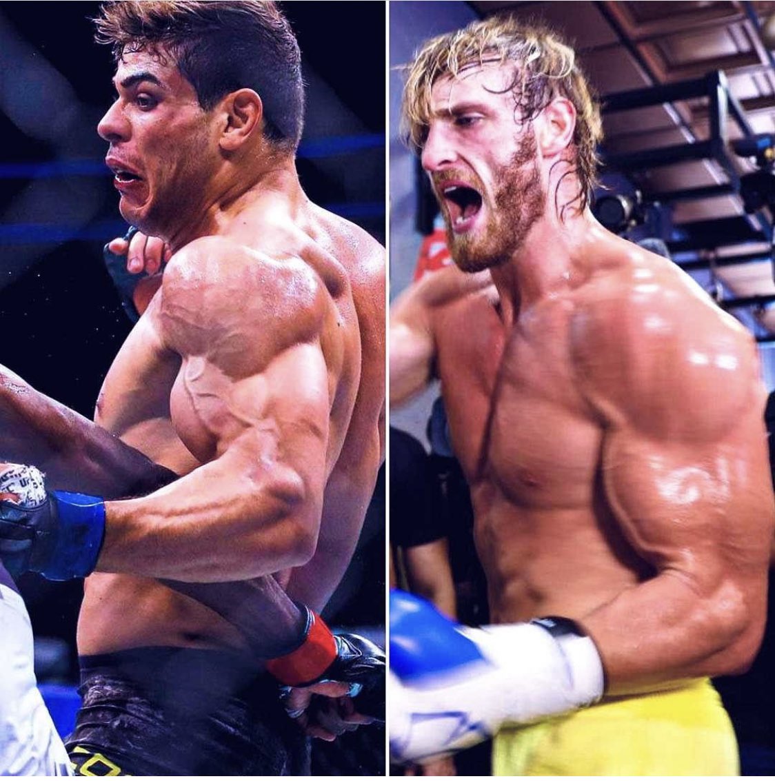 So was gsp not natty? Great cardio and was jacked. I remember when ...