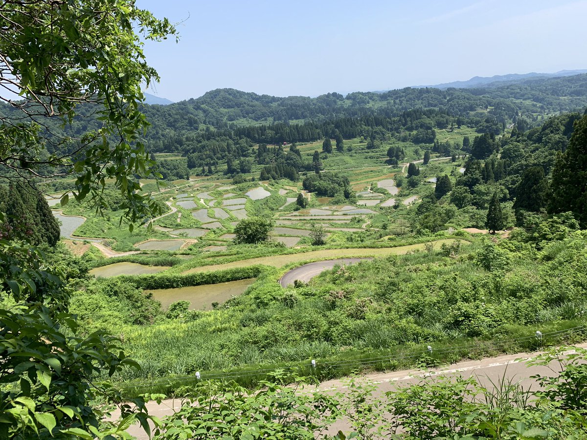 今日の田んぼ 笹森トモエ@サキュステ総集編3発売中👿 @sasamomi