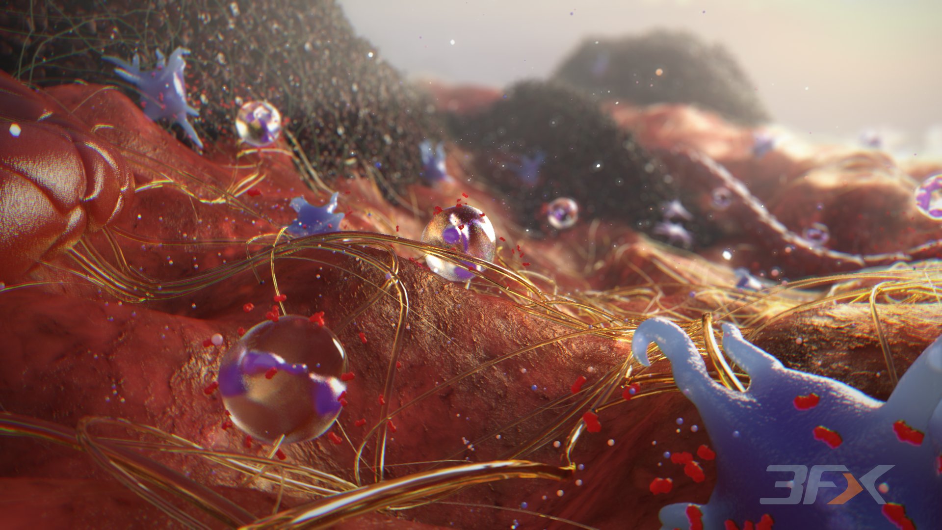 Wound Healing Animation